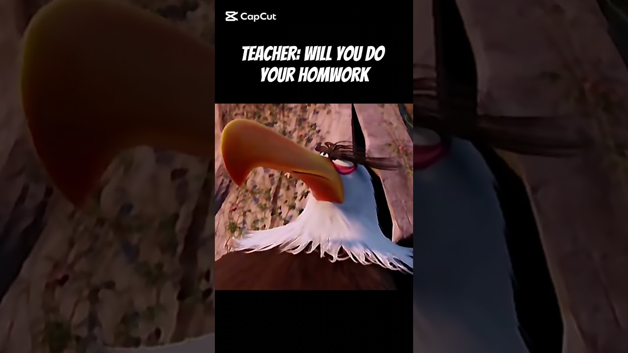 Teacher: will you do your homework? #MEME #Funny