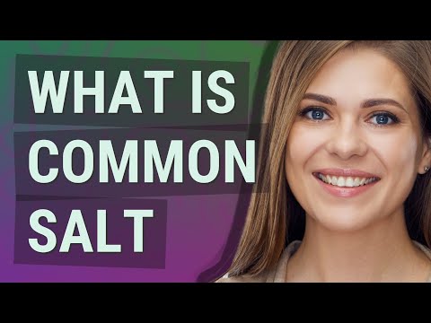 Common salt | meaning of Common salt