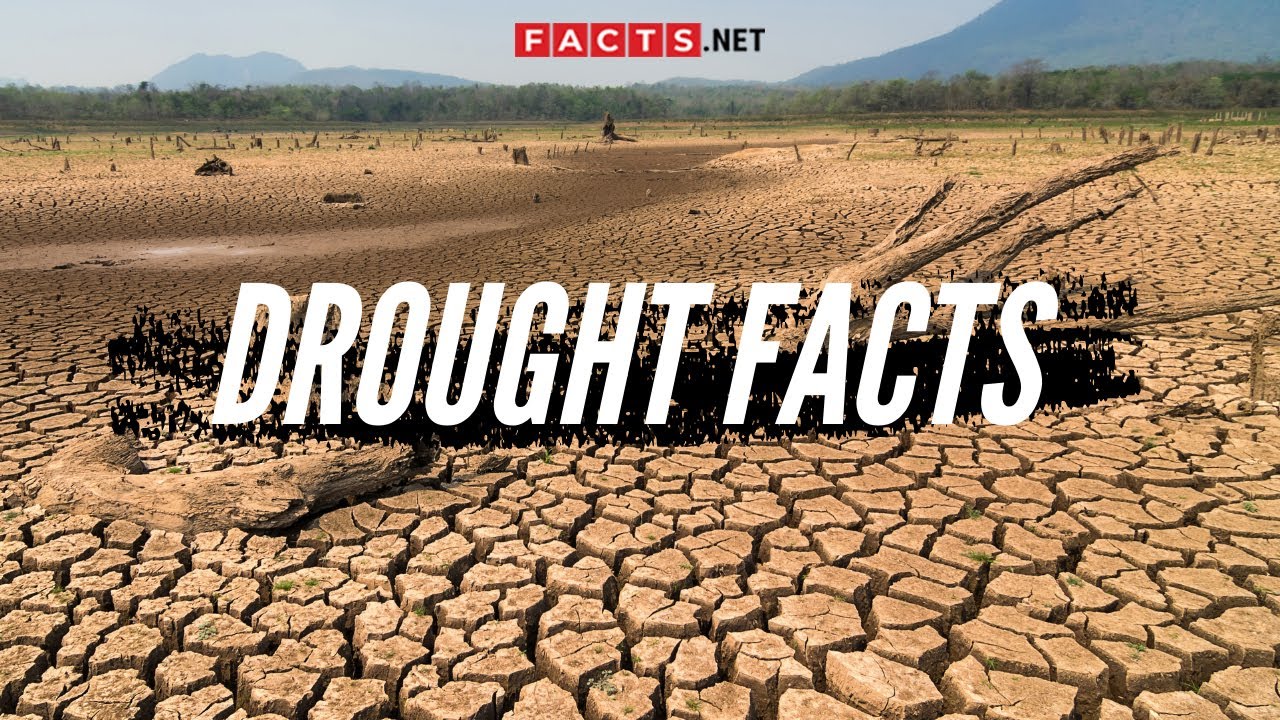 Drought Facts & More About The Worst Droughts