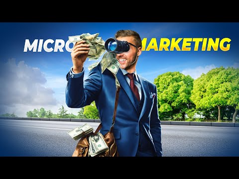 I Quit MICRO-MARKETING Here's why (Basics and Analytics)