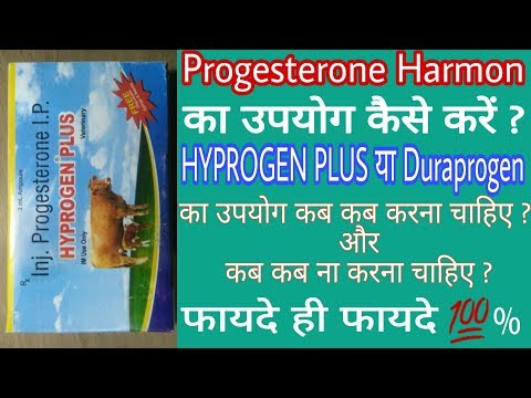 How to use Duraprogen injection and Hyprogen plus injection? – Agrivet ...