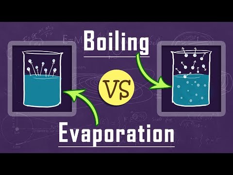 What is the Difference Between Boiling and Evaporation | Thermodynamics | Physics