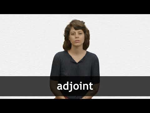English Translation of “ADJOINT” | Collins French-English Dictionary