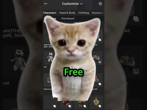 How to Look Like EL GATO On ROBLOX For FREE
