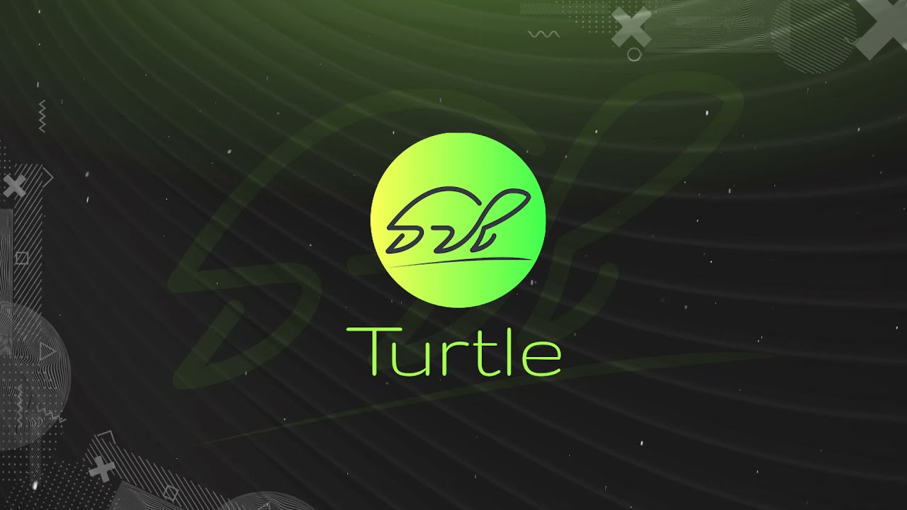 How to use the Turtle Finance Platform
