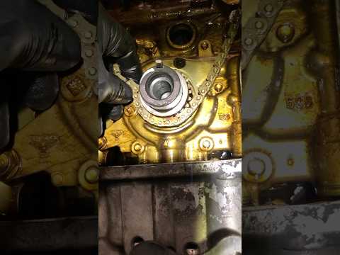 Adjusting the timing chain