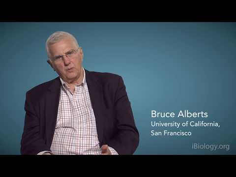 iBiology Scientific Teaching Series: Active Learning - The Problem