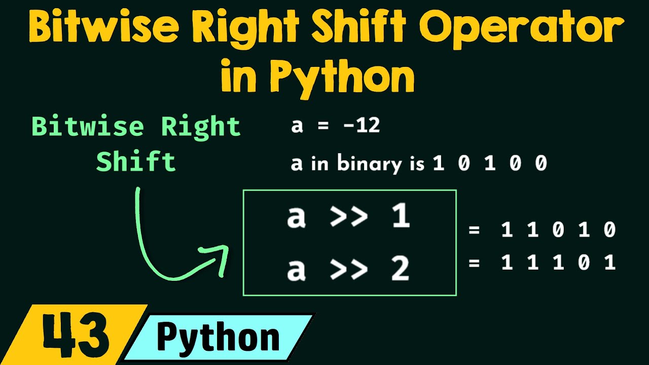 Bitwise Right Shift Operator in Python