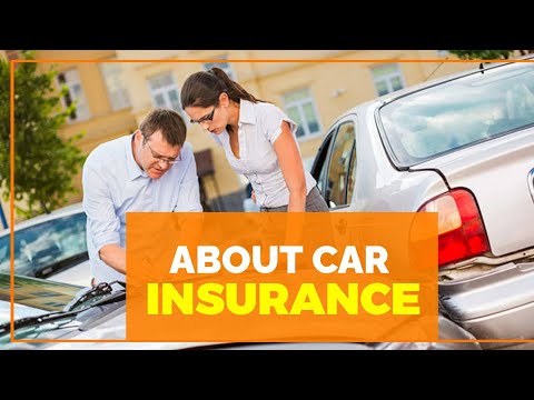 WHAT YOU NEED TO KNOW ABOUT CAR INSURANCE | THE AMERICAN STORY 2022