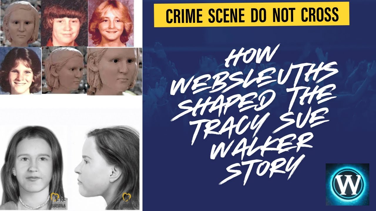 How Webssleuths, and you, can shape an investigation