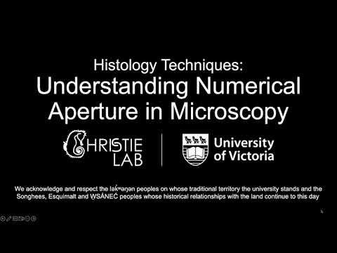 Understanding Numerical Aperture in Microscopy