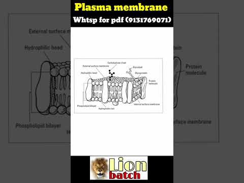 plasma membrane bsc 1st year zoology knowledge adda lion batch notes pdf zoology #9131769071 #neet