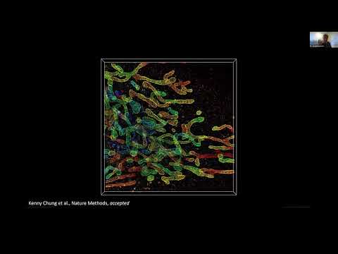 All-Optical Super-Resolution Imaging — Joerg Bewersdorf | Duke Engineering