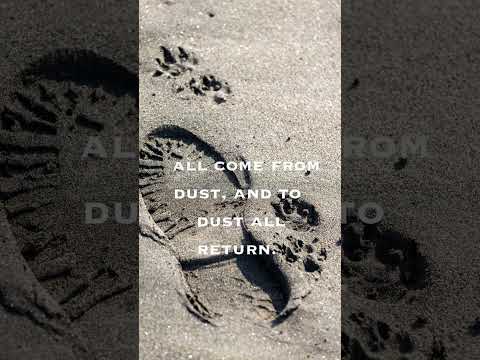 From Dust to Dust