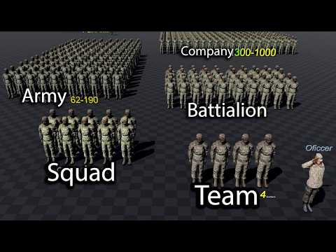 Understand the Powerful Structure of the U.S. Military Forces