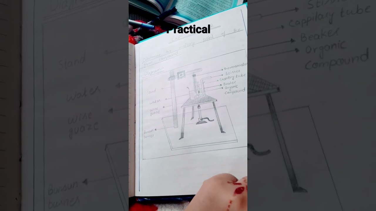 class 9th chemistry practical 1.1 5.1 5.2 5.3📖