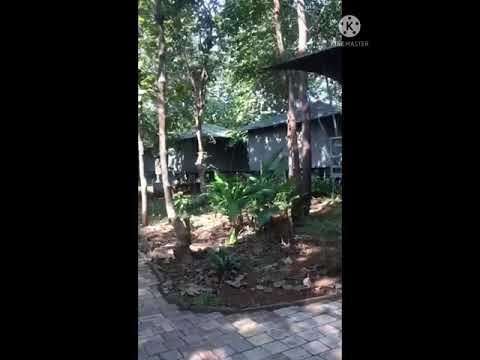 Govardhan Ecovillage