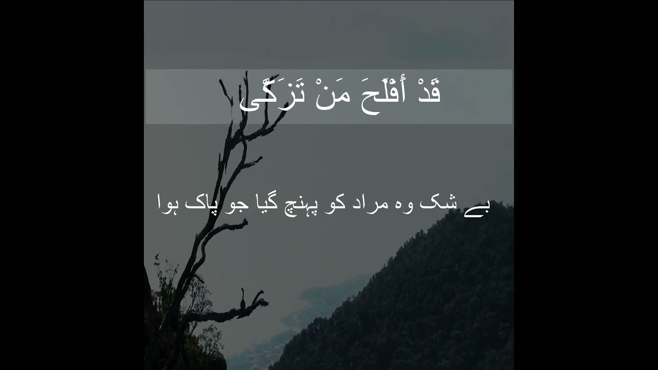 Surah Al Ala 87 14 Quran Translation Quran tilawat Quran tarjumah Quran