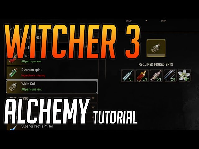 5 best builds in The Witcher 3 next-gen