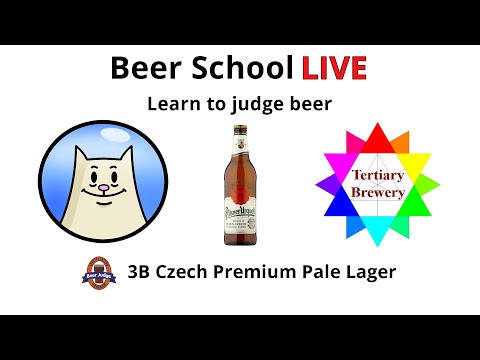 Learn to judge beer. BJCP 3B Czech Premium Pale Lager -Pilsner Urquell