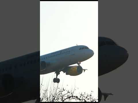 Vueling