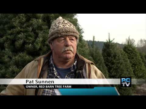 Tree Farms – Sumner, Washington