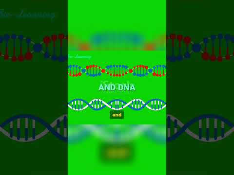 Exploring the Diversity of RNA and DNA Viruses