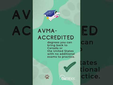 AVMA-accredited Vet Degrees in Australia 🦘 #studyinaustralia #veterinary #vetschool #degree #shorts