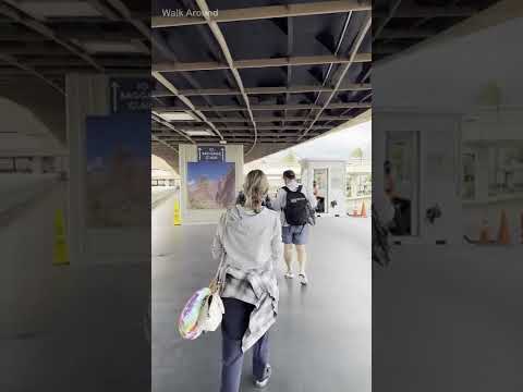 【#Shorts】 Honolulu Airport, Arrival Terminal