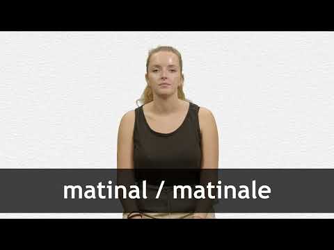 English Translation of “MATINAL” | Collins French-English Dictionary