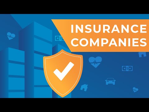 What Are Insurance Companies?