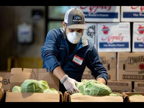 Volunteering at the Food Bank Drive-Thru Amid the Coronavirus Pandemic