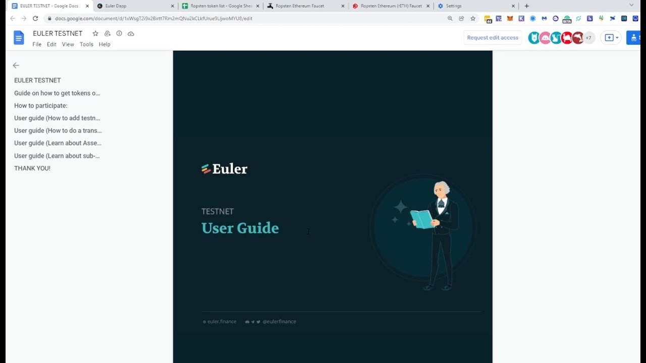 Euler Testnet Guide