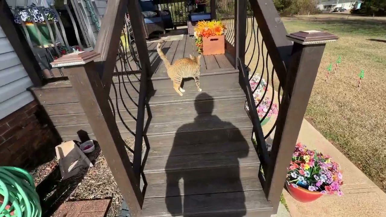 Simple Diagnostics using Short Pro Tool for HVAC