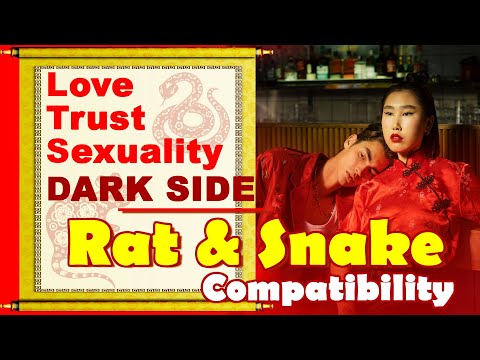 Rat and Snake Compatibility in Love, Life, Trust, and Intimacy | Rat & Snake Chinese Zodiac Compat
