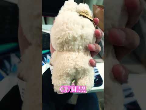 Unboxing la boo-boo mystery box ๐ฆ #unboxing #mystery