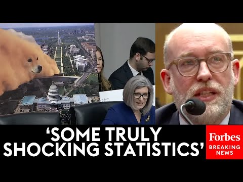 Video | Senate DOGE Caucus Chair Joni Ernst Questions OMB Nom About ...