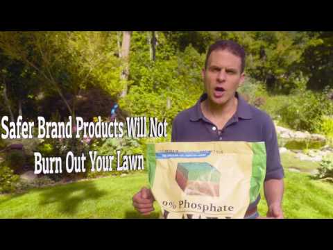 How to choose the proper fertilizer for your flowers, lawn, trees, shrubs and vegetables