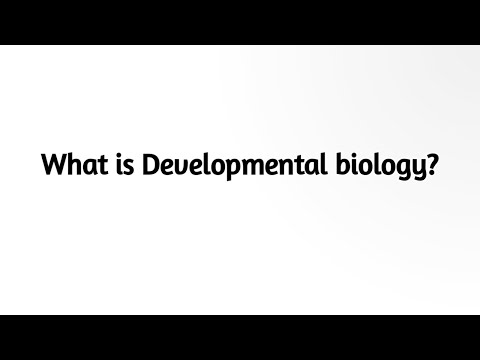 What is Developmental biology ?