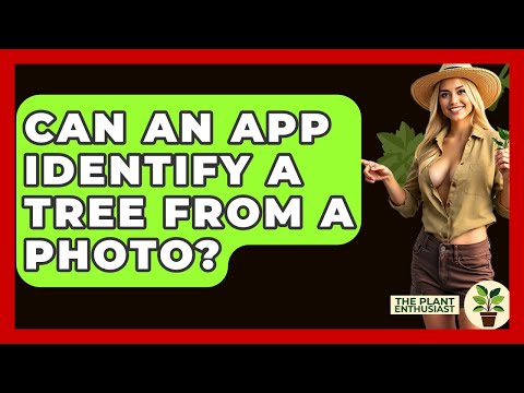 Can An App Identify A Tree From A Photo? - The Plant Enthusiast