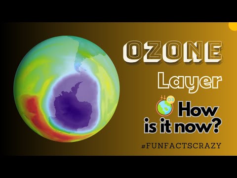 What is the current state of the ozone layer?