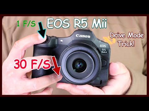 Canon R5 II: Detailed setup for wildlife & sports photography