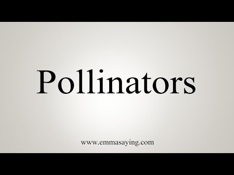 How To Say Pollinators