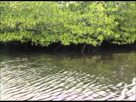 DA-BFAR: Inter-Agency Dialogue with the Fisherfolk Part 1
