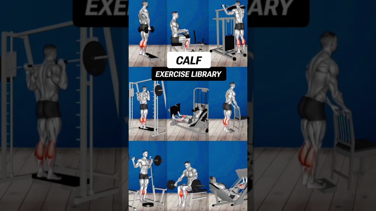calf exercise(workout) library @GymFit177 #workout #gym