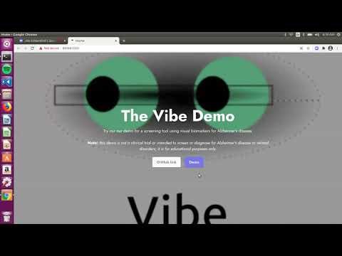 Vibe demo