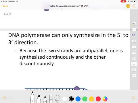 Review ppt of DNA REPLICATION