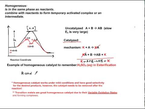 A3.2 Homogeneous catalyst
