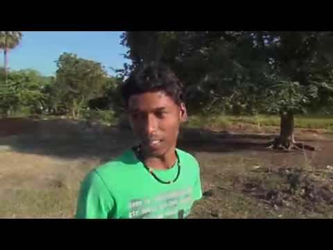 South India: Facebook by the fields