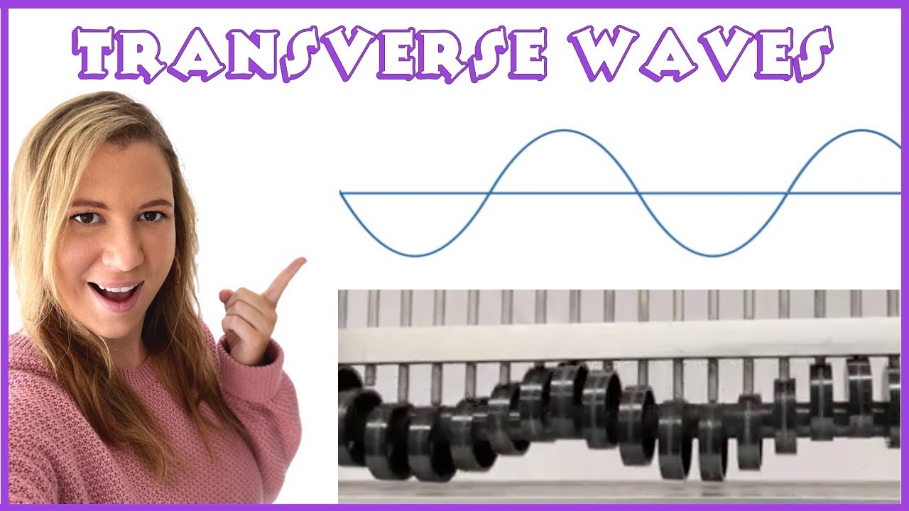 Transverse Waves and Labelling Wave Diagrams